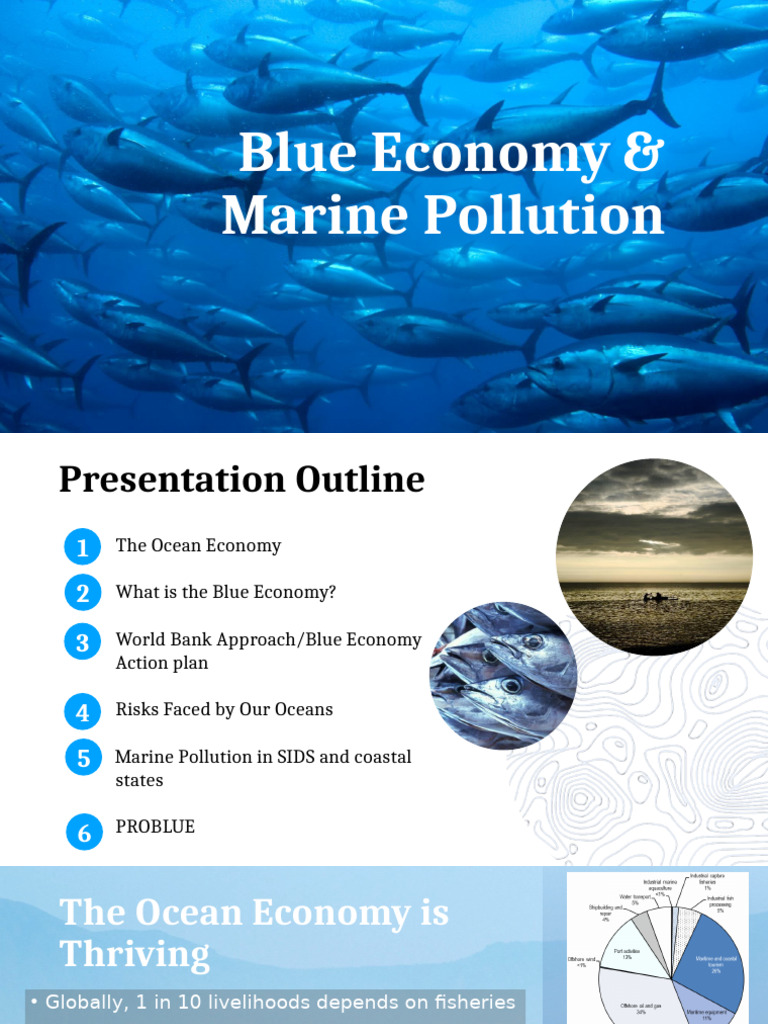 Small States 2019 Blue Economy | PDF | Environmental Science | Human ...