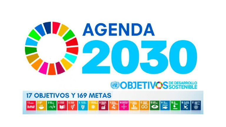 22 Wef Goals | PDF