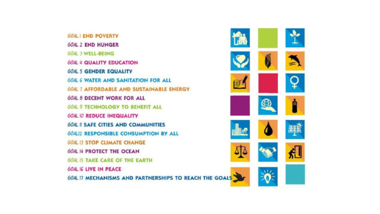 15 Goals Wef | PDF