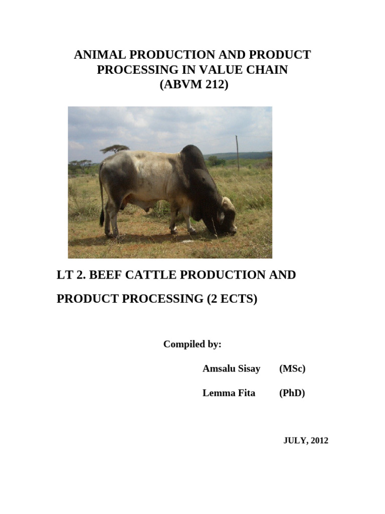 Beef Cattle Production Systems Overview | PDF | Beef | Cattle