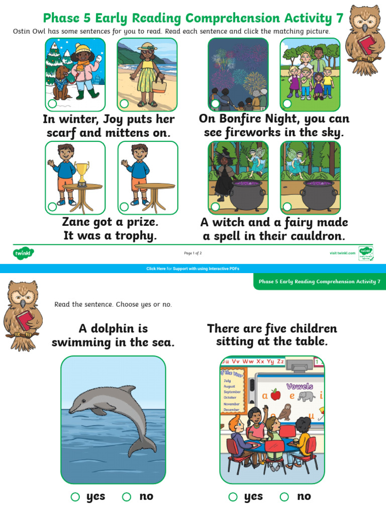 Phase 5 Reading Comprehension Activity | PDF