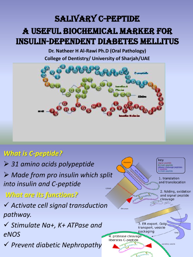 C Peptide Aeedec Insulin Diabetes Mellitus Type 1
