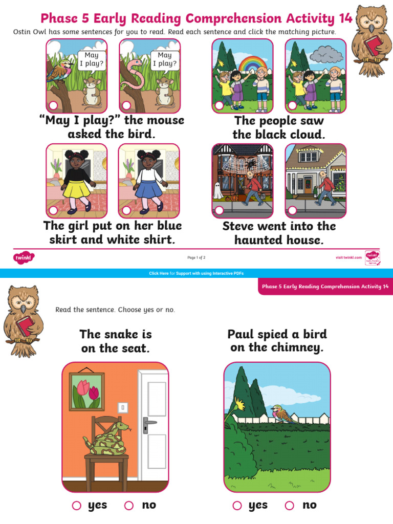 Phase 5 Reading Comprehension Activity | PDF
