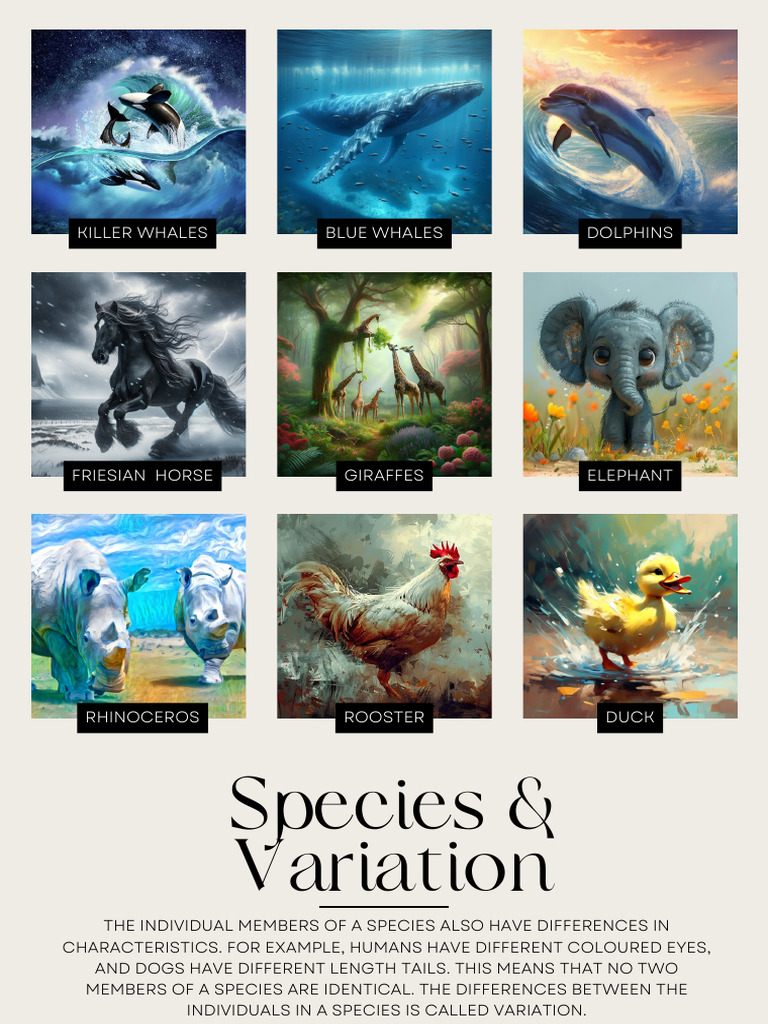 Variation & Species | PDF