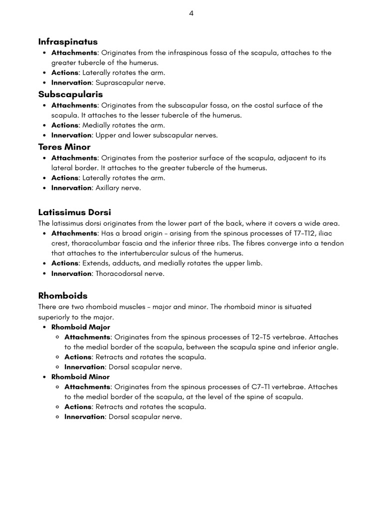 Anatomy 4 | PDF