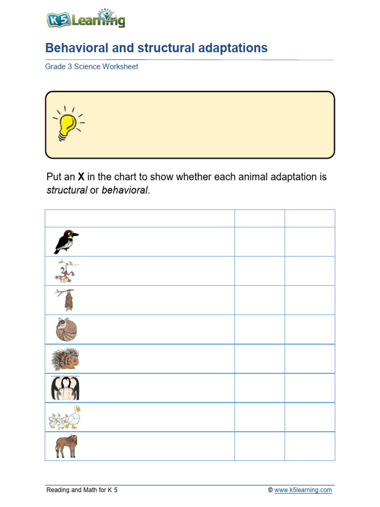 Behavioral and Structural Adaptations Worksheet 2 | PDF