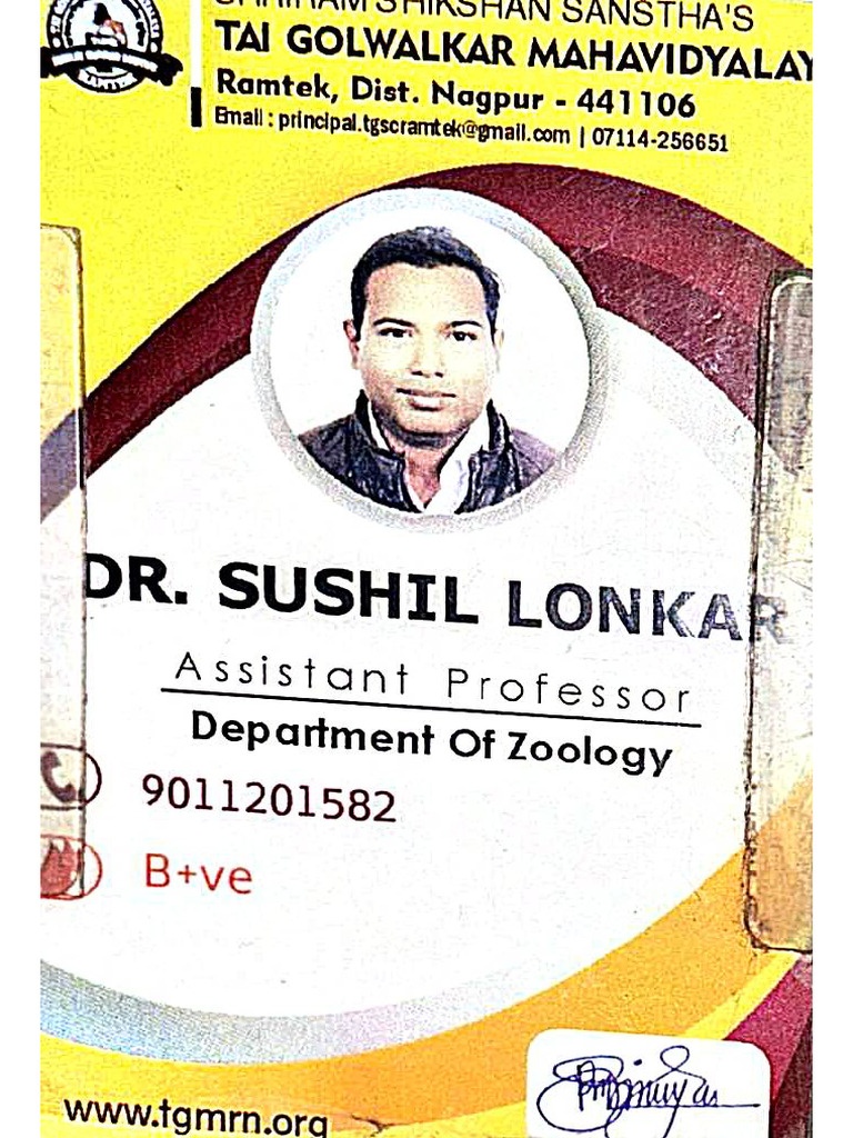 College I Card | PDF
