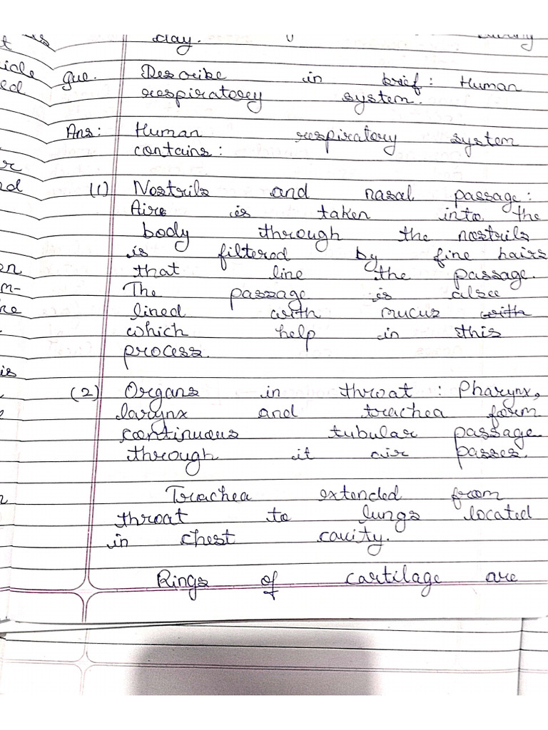 For My Friend 'Brain Rot' | PDF