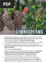 Gymnosperm Reproductive Structures | PDF | Seed | Biological Interactions