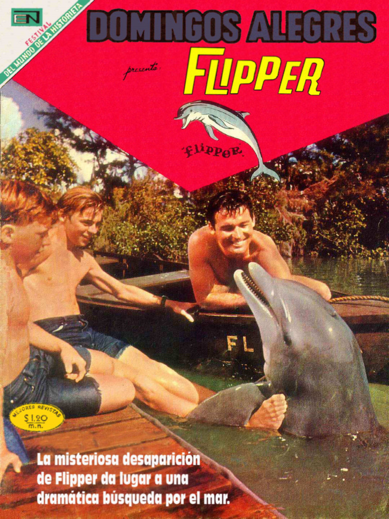 Domingos Alegres 801 Flipper | PDF