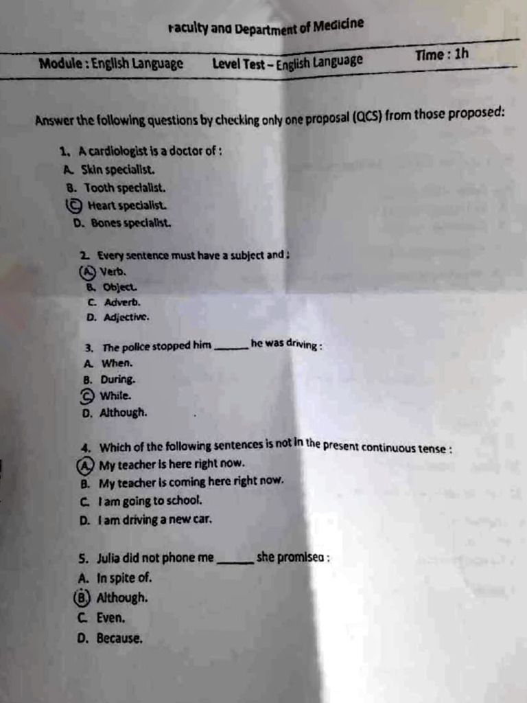 English Language Level Test | PDF | Language Mechanics | Language Families