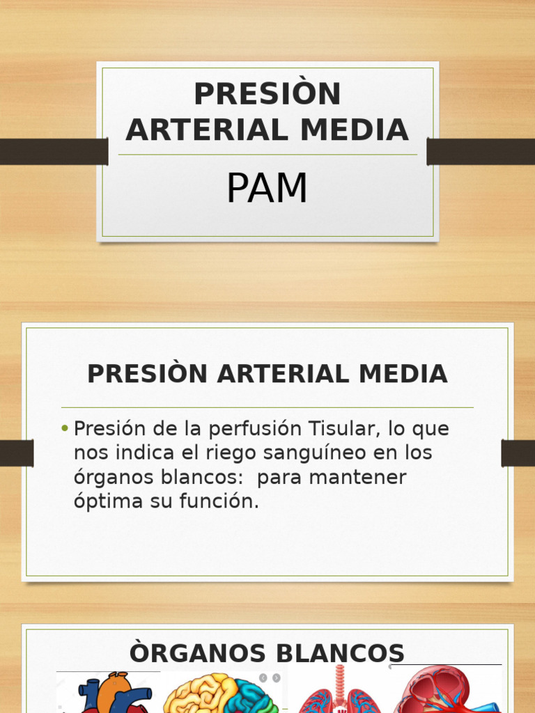 Cálculo y Significado de PAM | PDF