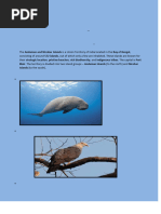 Flora and Fauna of Andaman and Nicobar and | PDF