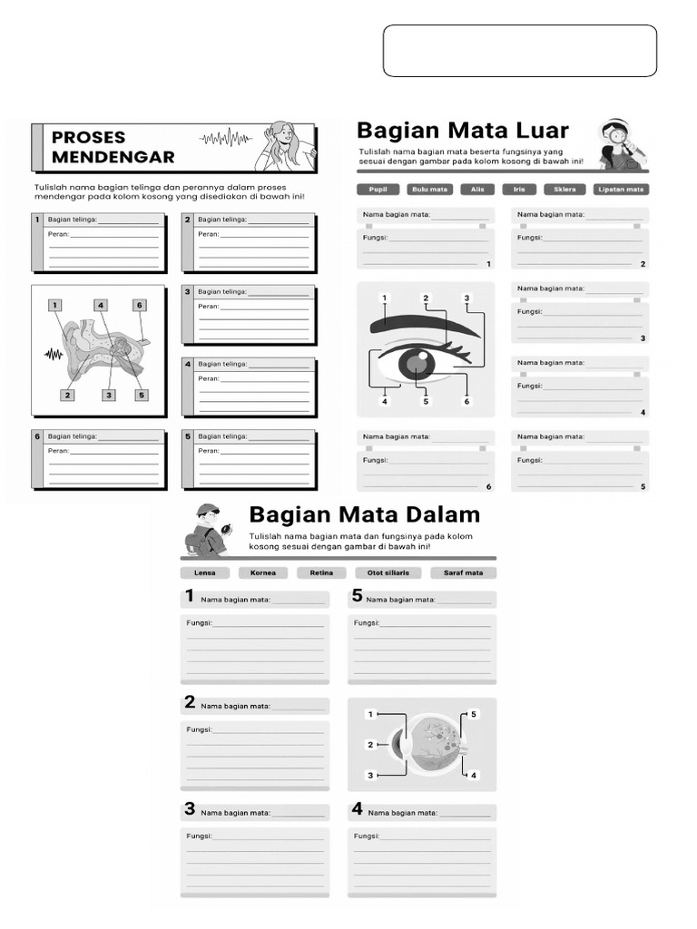 Ipas - Telinga Dan Mata | PDF