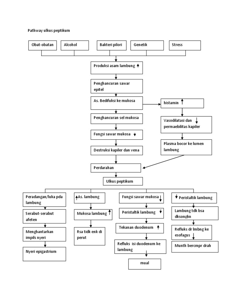 Pathway Ulkus Gaster | PDF