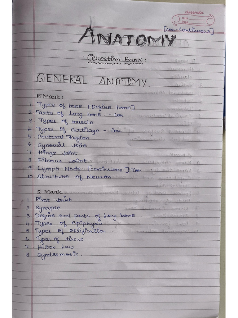 Anatomy of the Lower Limb and Related Structures | PDF