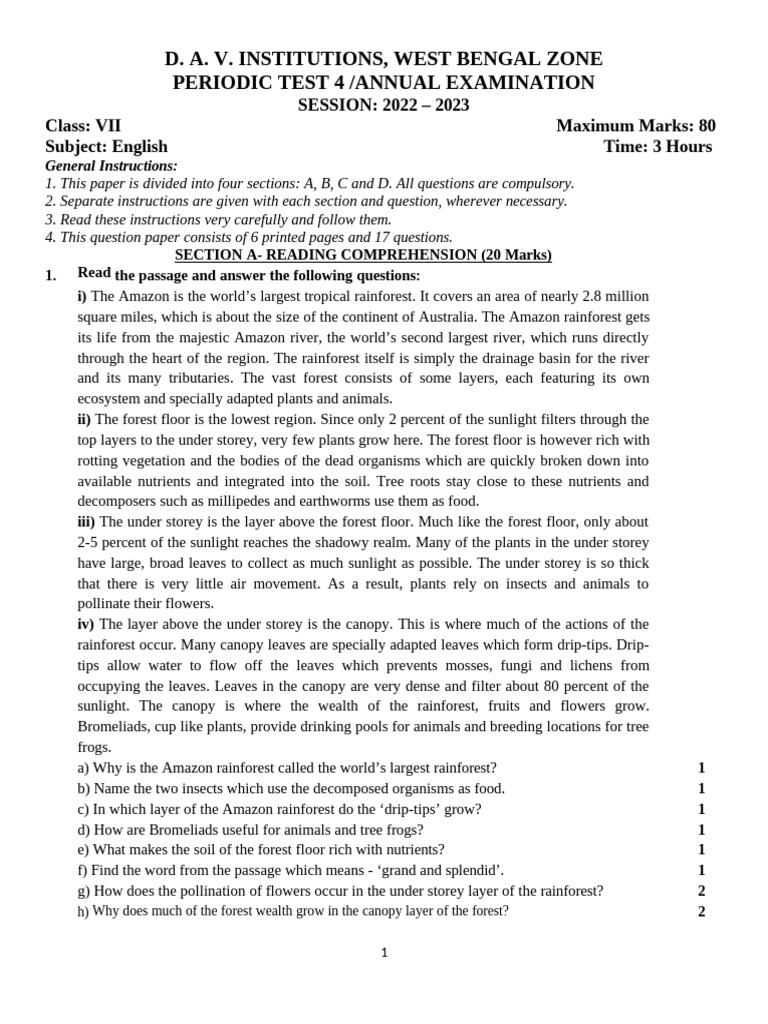 Class 7 English Summative Exam Paper | PDF | Rainforest | Forests