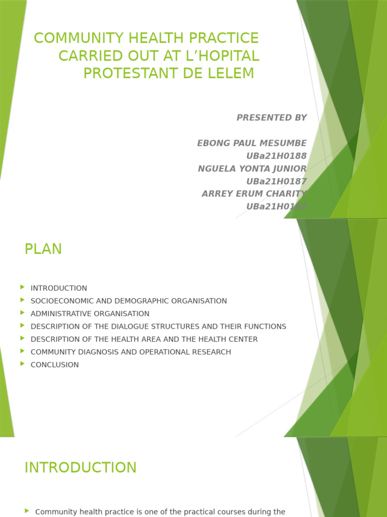 CHP Report Presentation | PDF