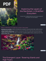 Layers of The Rainforest: Emergent | PDF