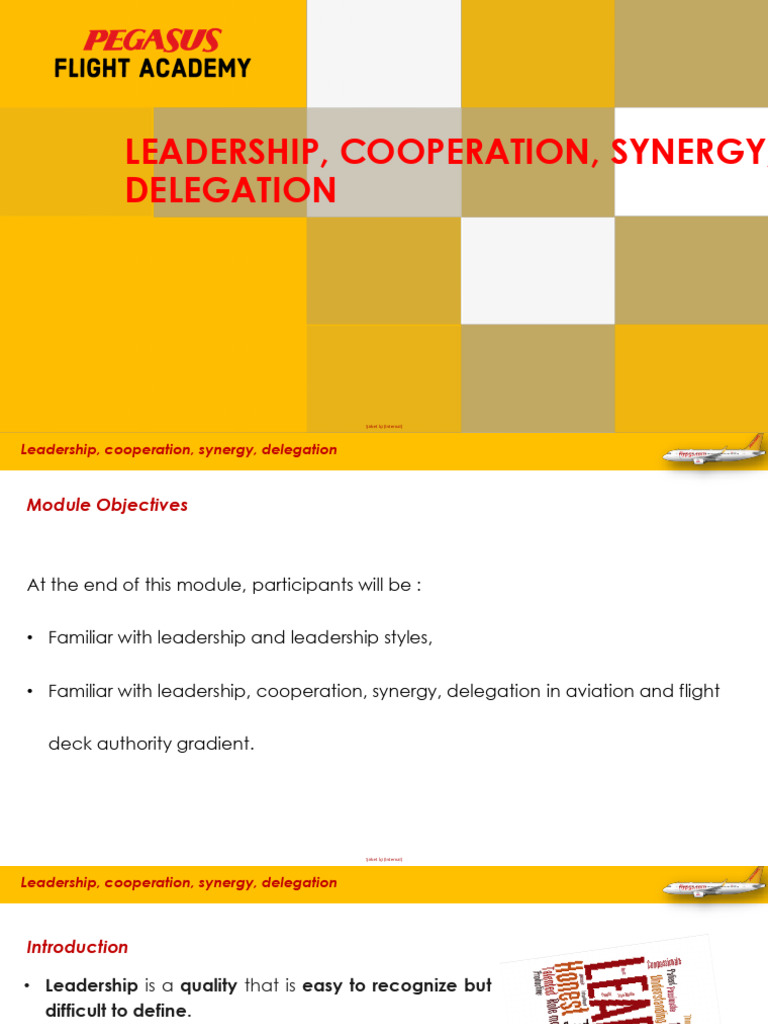 CRM - Leadership, Cooperation, Synergy, Delegration | PDF | Leadership ...