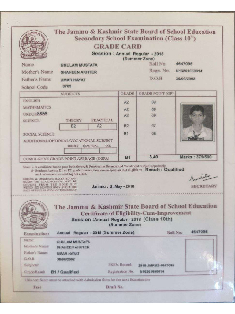 Board Certificate | PDF