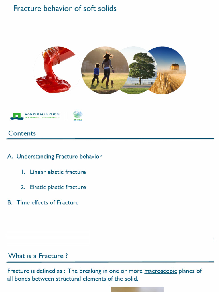Fracture Behavior in Soft Solids | PDF | Fracture | Elasticity (Physics)