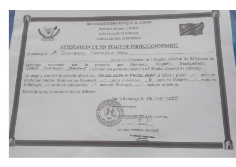 Mendes Attes Ok | PDF