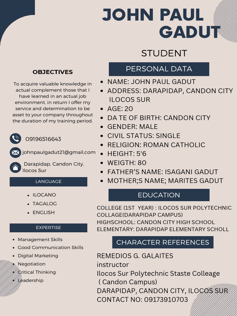 Blue Professional Modern CV Resume | PDF