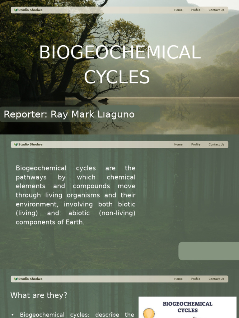 Biogeochemical Cycles | PDF