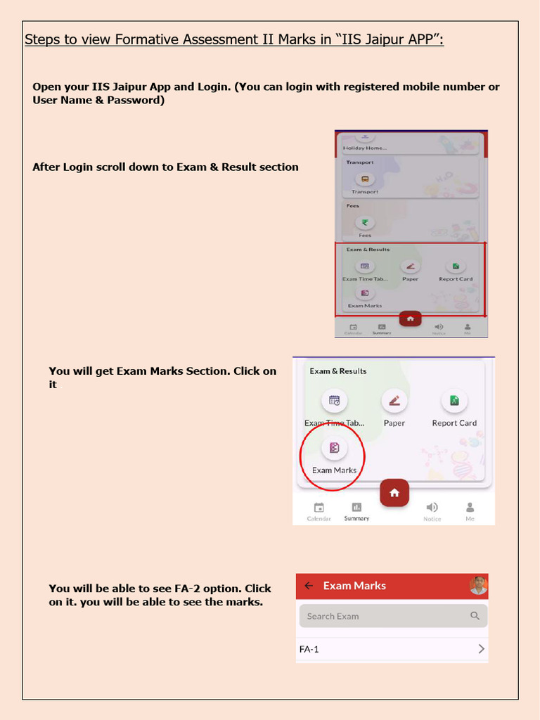 Steps To View Formative Assessment II Marks | PDF