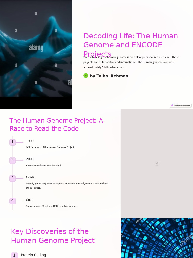 Decoding Life The Human Genome and ENCODE Ai | PDF | Human Genome | Genome