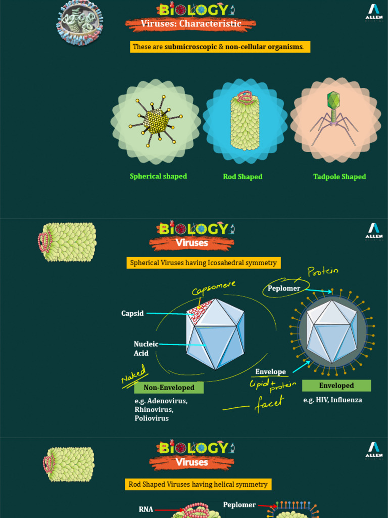 Biological Classification Viruses and Others 3 10 | PDF | Virus | Life ...