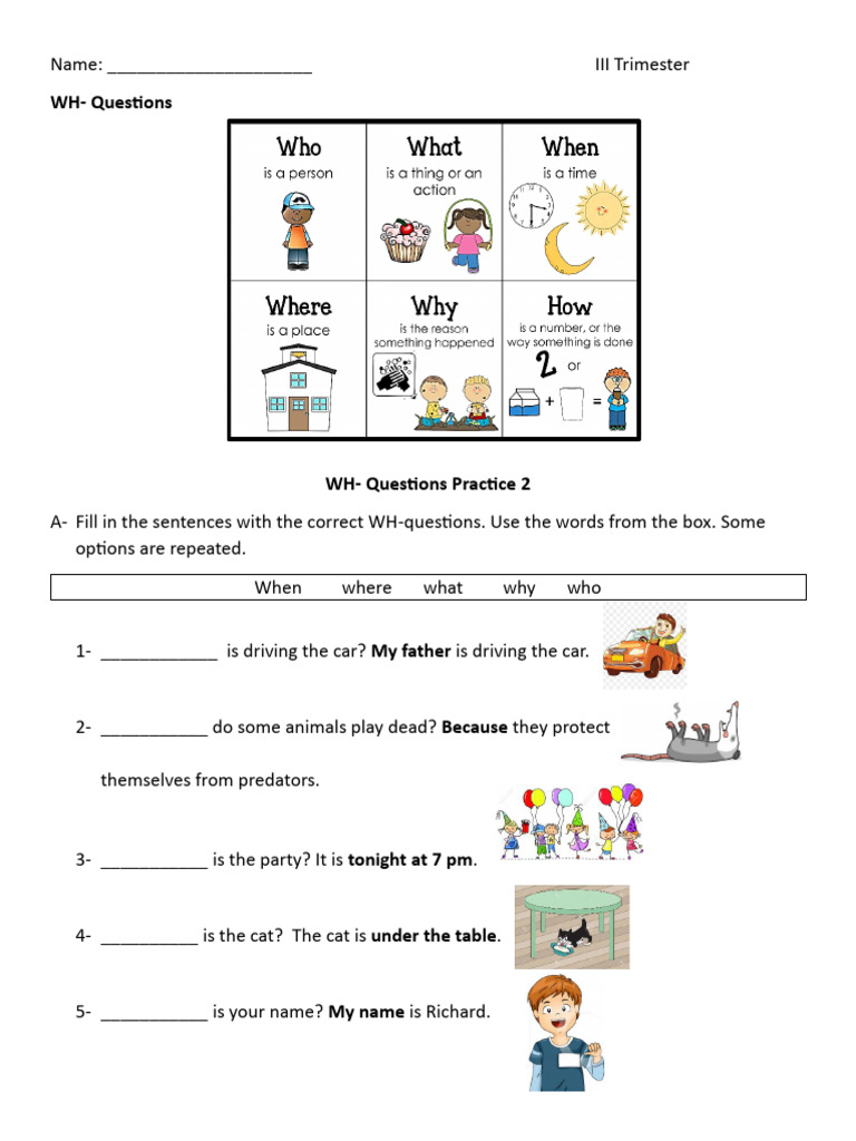 WH-Questions Practice Worksheet | PDF