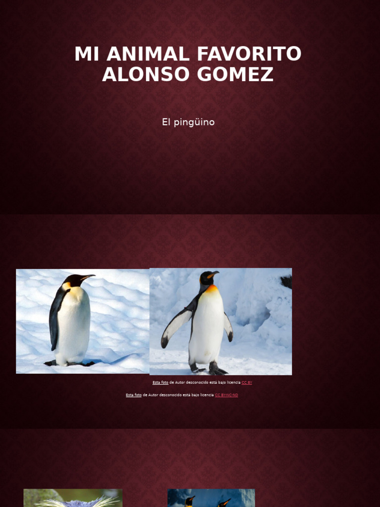 Mi Animal Favorito | PDF