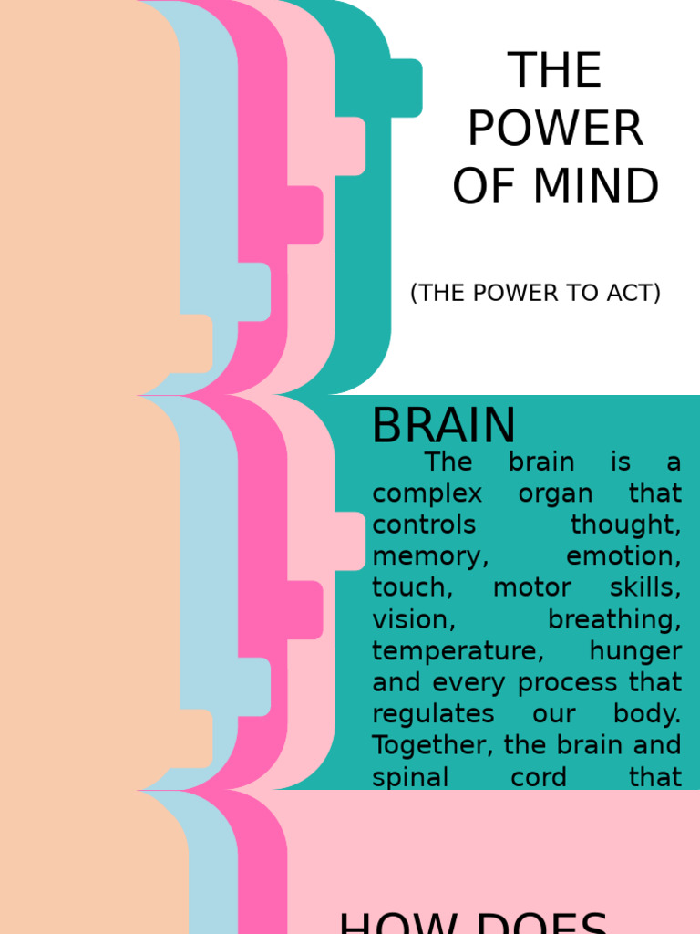 Understanding Brain Function and Structure | PDF