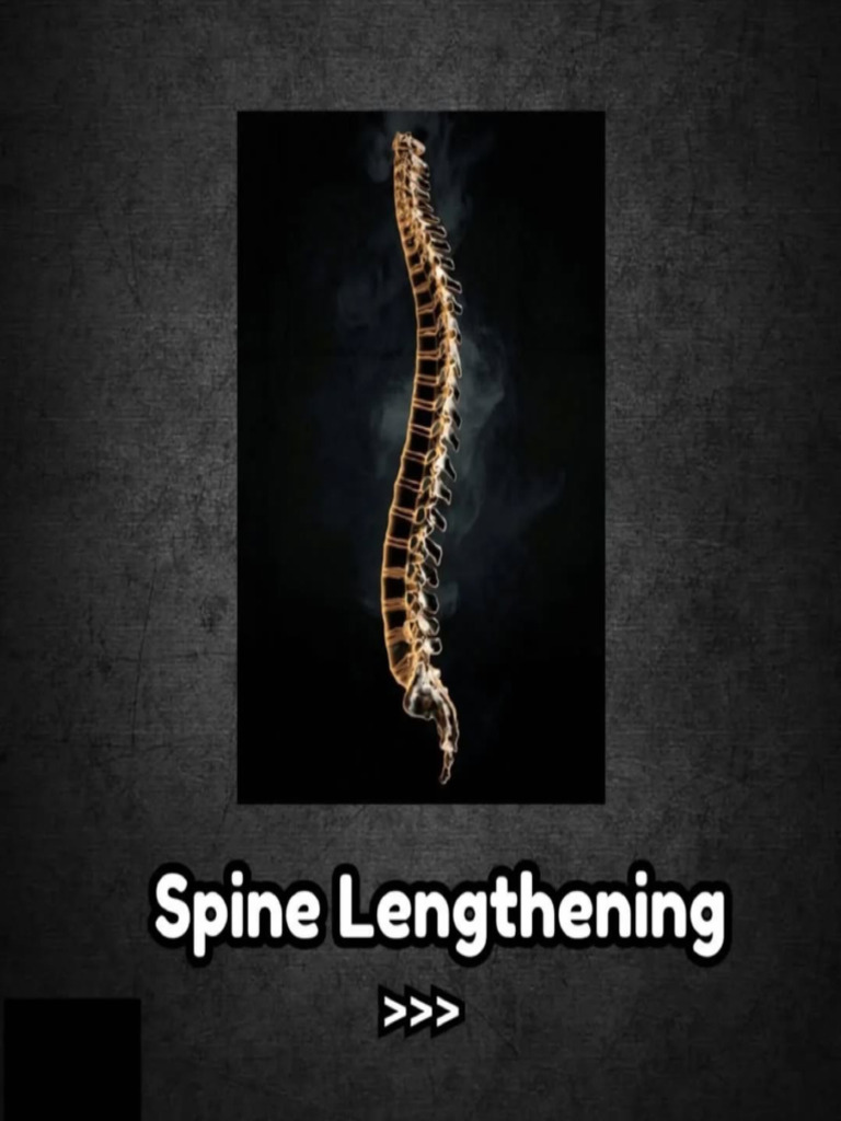 Spine Stretch Method | PDF