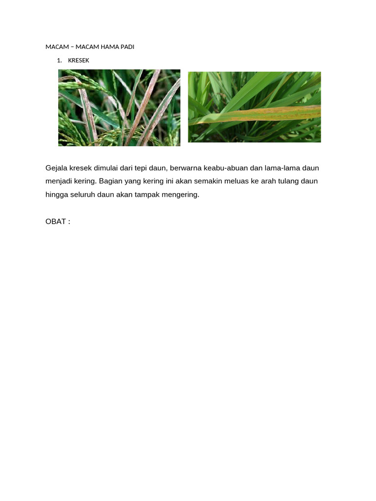 Macam Hama Padi | PDF