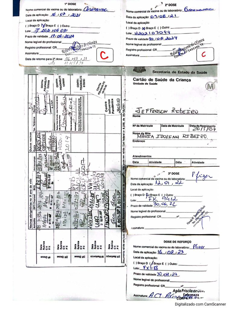 Vacina Jefferson | PDF