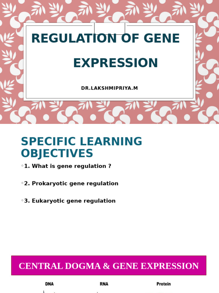 Regulation of Gene Expression | PDF | Regulation Of Gene Expression ...