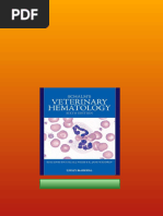 Kitty Magic | PDF | Anesthesia | Surgery