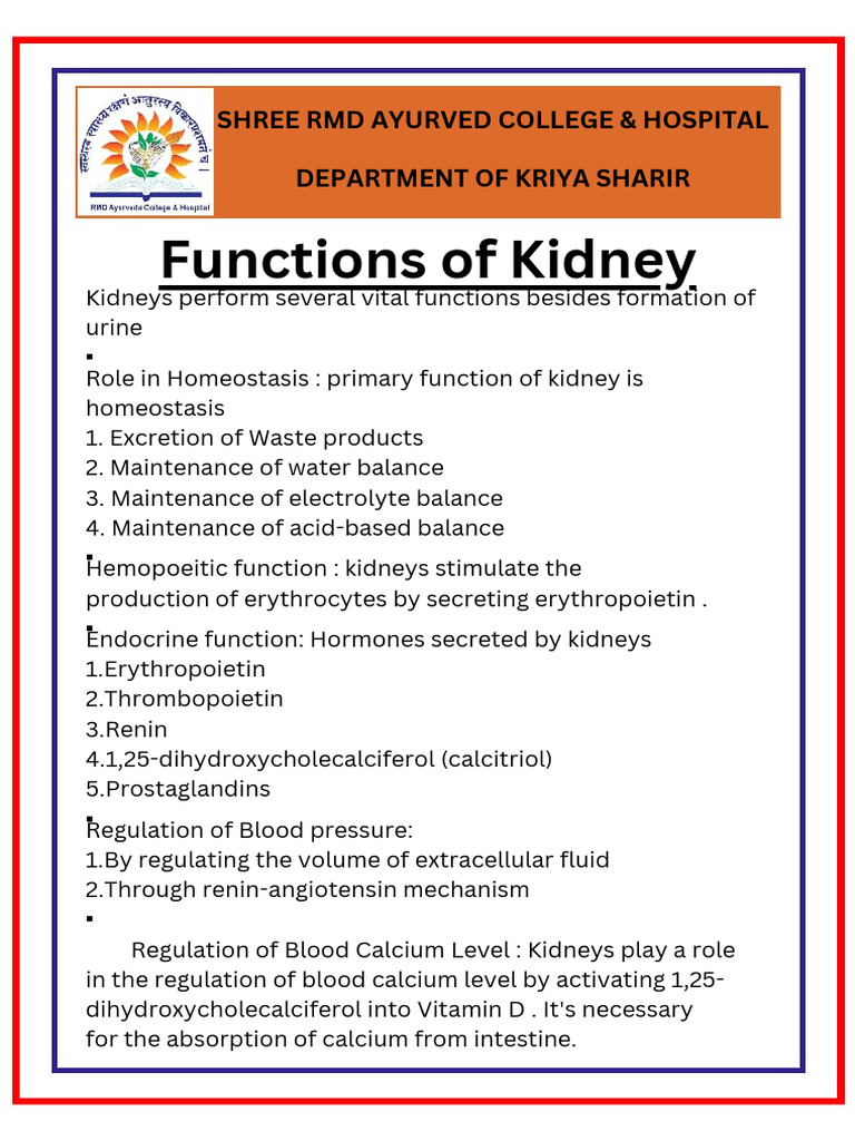 Essential Functions of Kidneys Explained | PDF