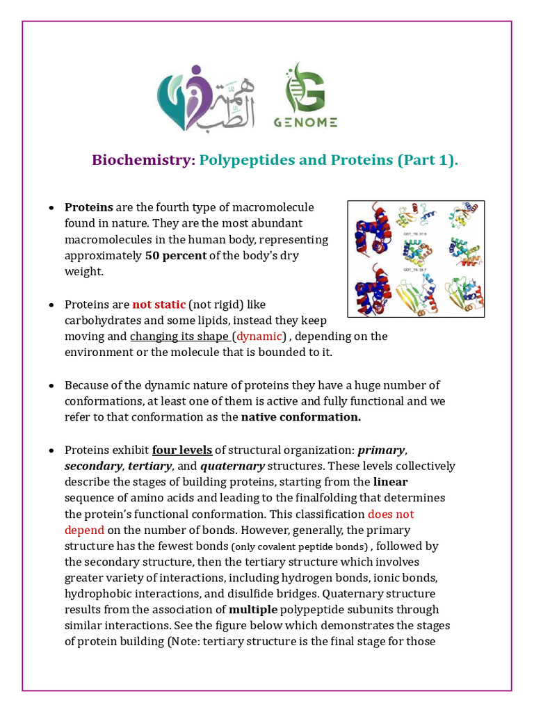 Biochemistry Sheet 15 (V1) | PDF | Beta Sheet | Protein Structure