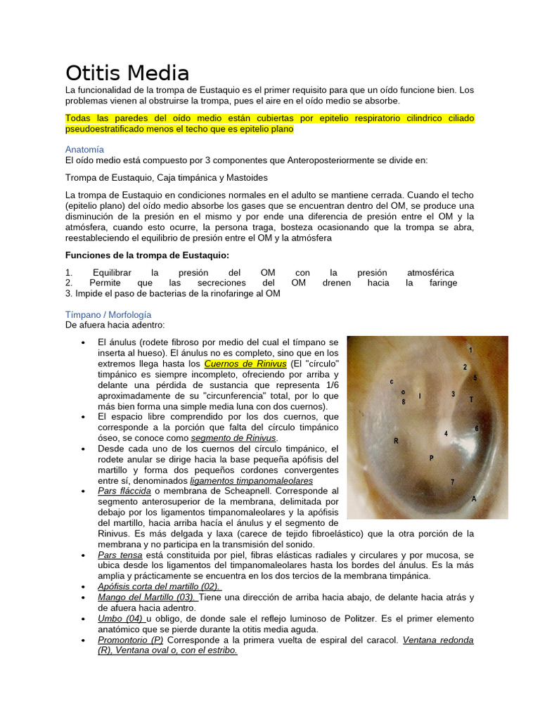 Otitis Media | PDF | Escuchando | Otología