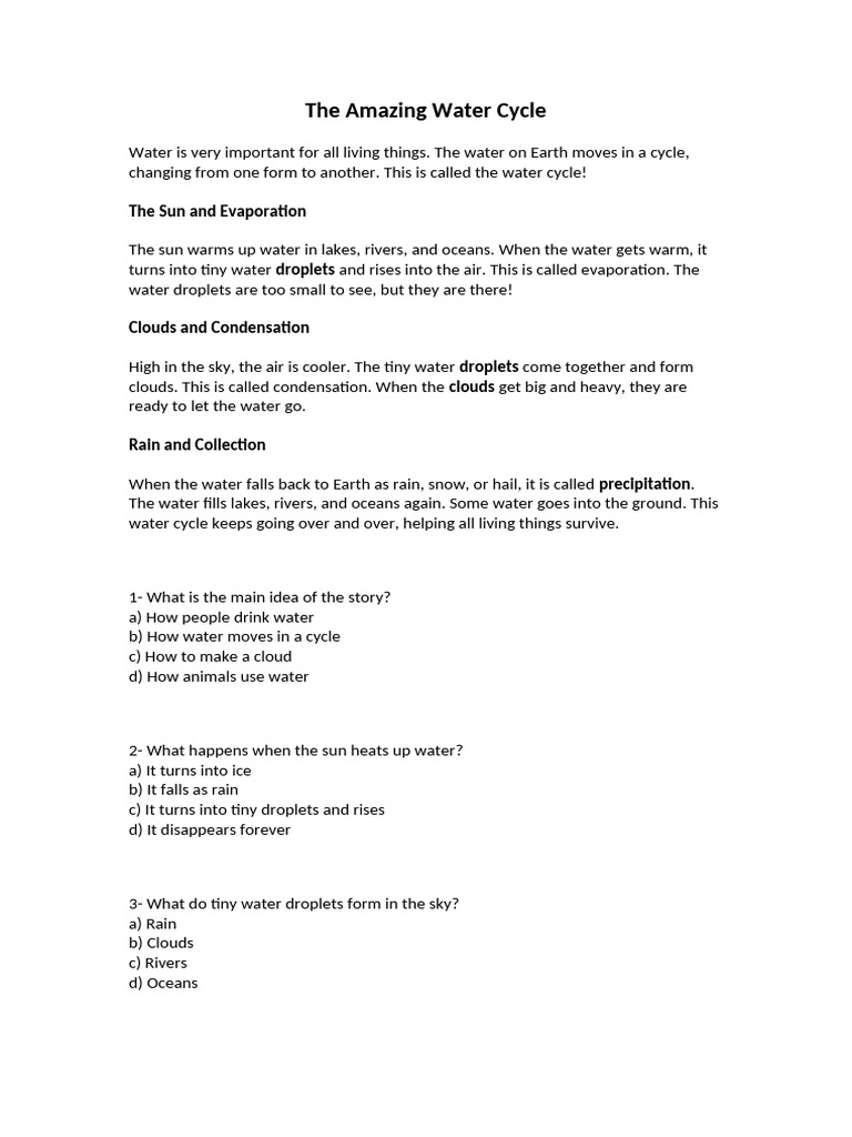 The Amazing Water Cycle | PDF | Water Cycle | Water