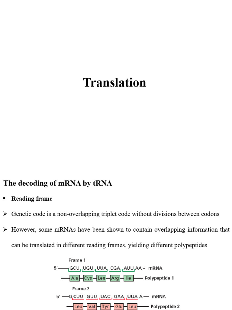 Understanding Overlapping Genes and tRNA | PDF | Translation (Biology ...