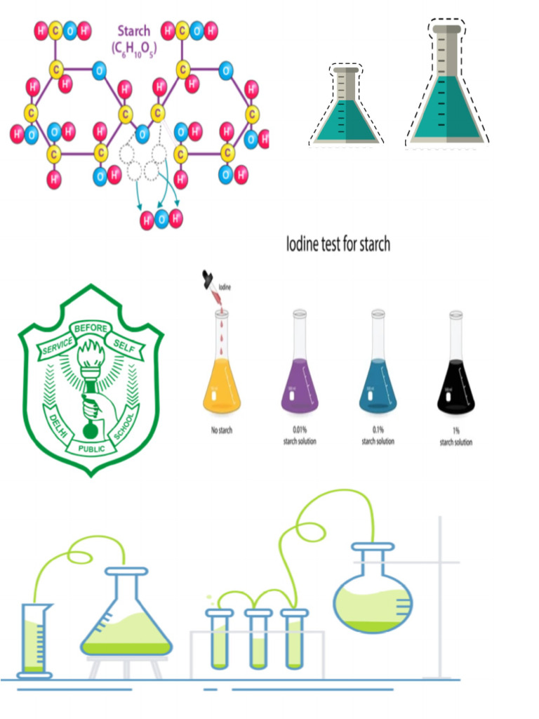 Chemistry Practical File | PDF