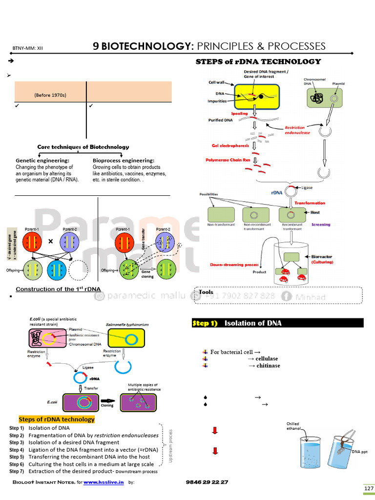Biotechnology Principle & Process | PDF | Primer (Molecular Biology ...