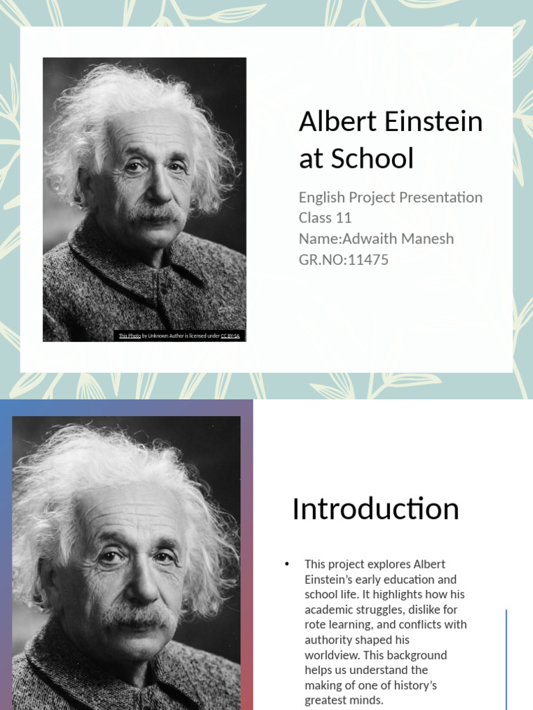 Albert Einstein School Project Presentation | PDF