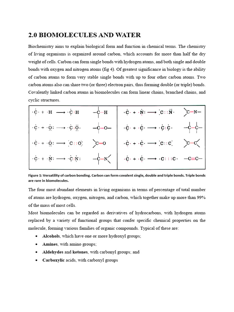 Biomolecules Water and PH | PDF | Biomolecules | Macromolecules