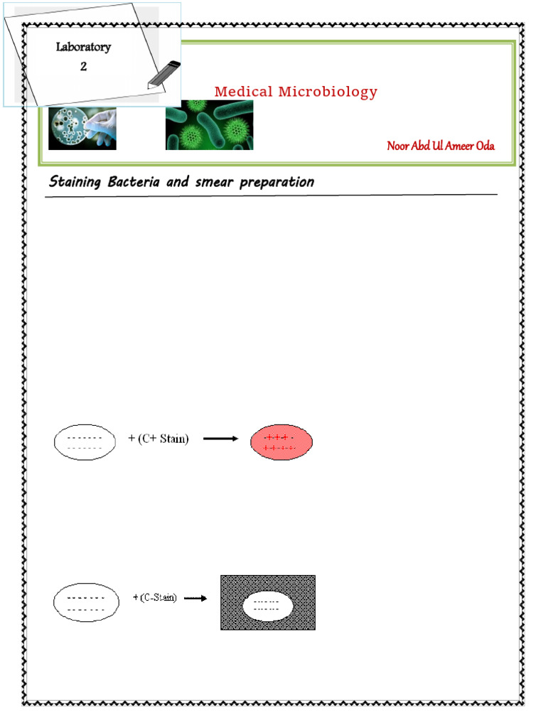 Bacterial Staining and Smear Preparation Guide | PDF | Staining | Bacteria